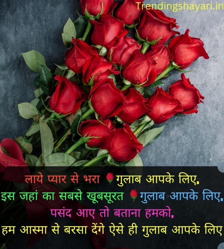 प्रेमी जोड़ों के लिए Best Rose Day Wishes : रोज डे शायरी 2024